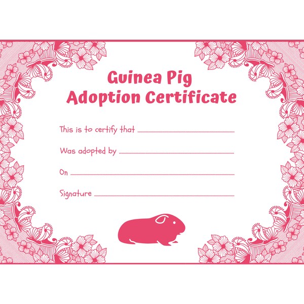 Guinea Pig Certificate - Etsy