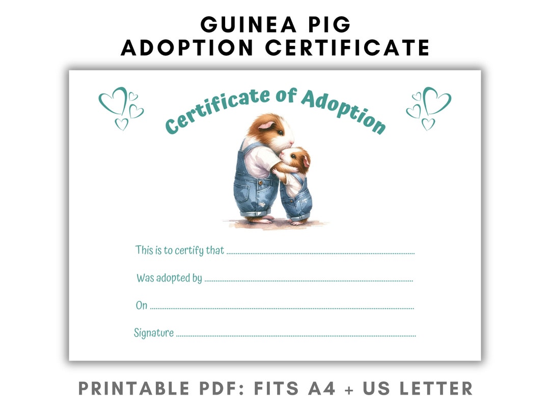Guinea Pig Adoption Certificate - Printable PDF - Etsy