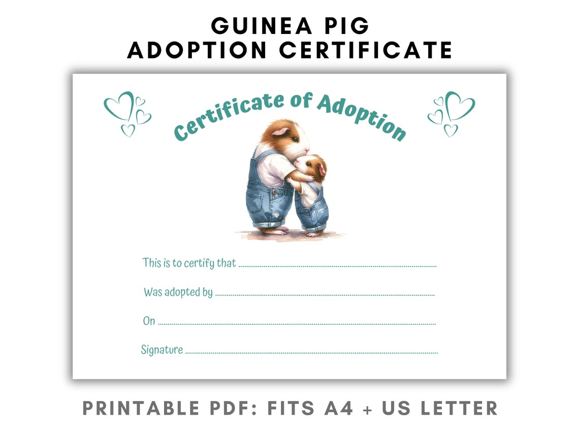 Guinea Pig Adoption Certificate - Printable PDF - Etsy