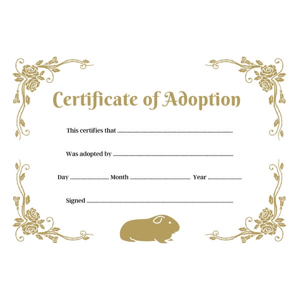 Guinea Pig Certificate - Etsy
