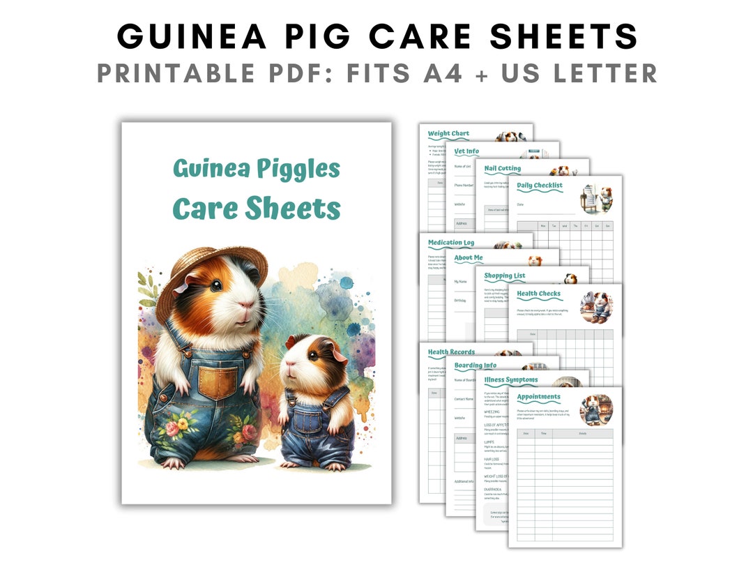 Guinea Pig Care Sheets & Checklists PLUS Record Sheets PDF Printable - Etsy