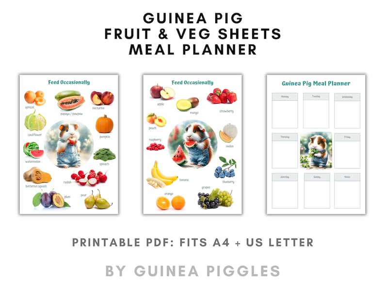 Guinea Pig Food Charts: Safe Fruit & Veg | Meal Planner | Nutrition Guide PDF Printables - Etsy