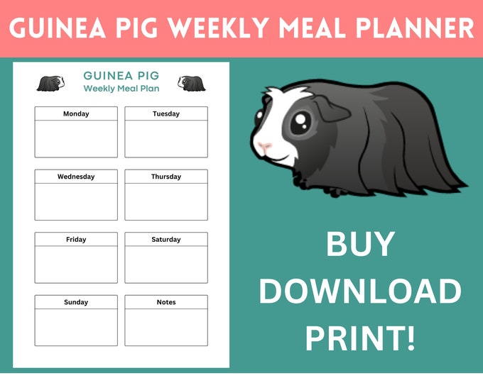 Guinea Pig Care Binder Pages Downloadable Guinea Pig Journal Guinea Pig ...