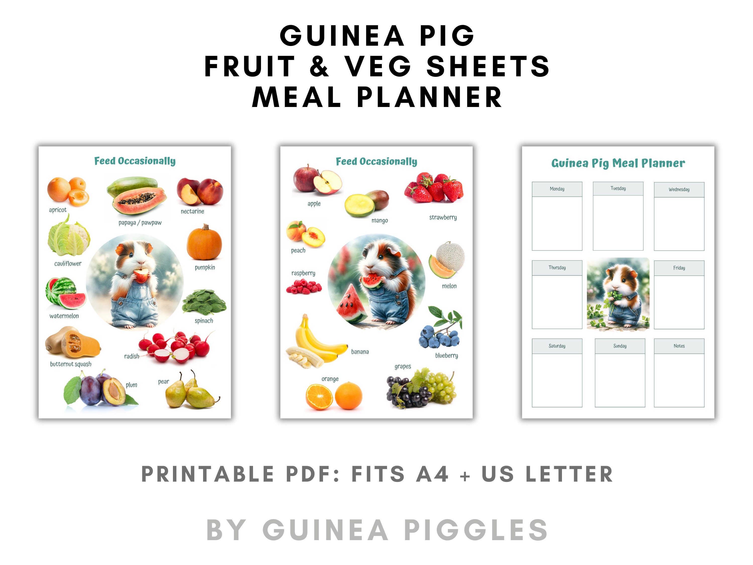 Guinea Pig Care Sheets & Food Charts Pack PDF Printables Downloads - Etsy