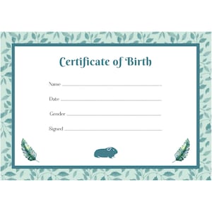 Guinea Pig Birth Certificate Printable PDF A4 Download Instant Print at ...