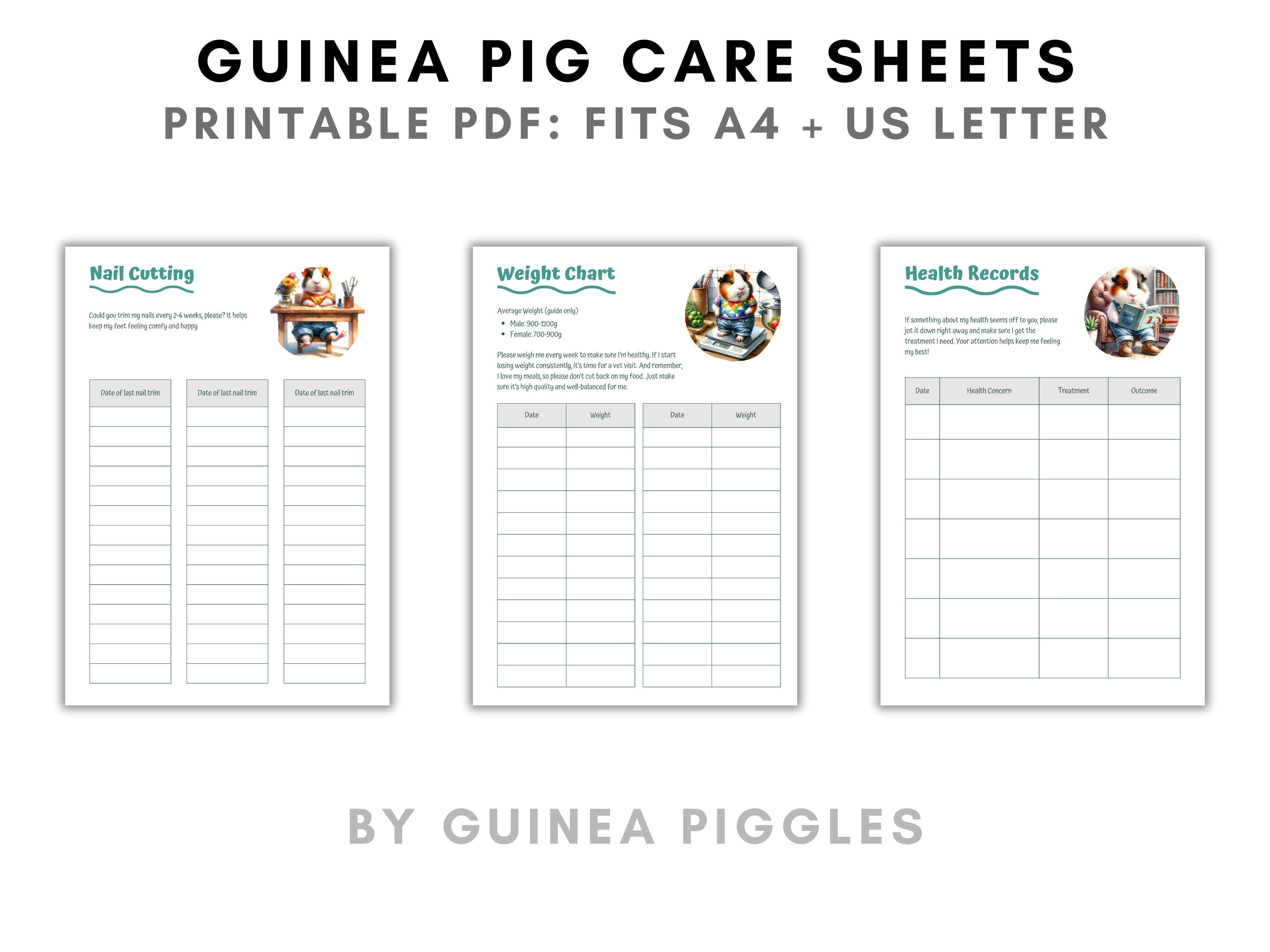 Guinea Pig Care Sheets & Food Charts Pack PDF Printables Downloads - Etsy