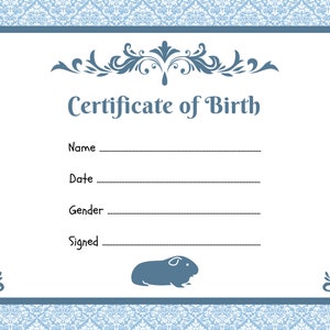 Guinea Pig Birth Certificate | Printable PDF | A4 Download | Instant ...
