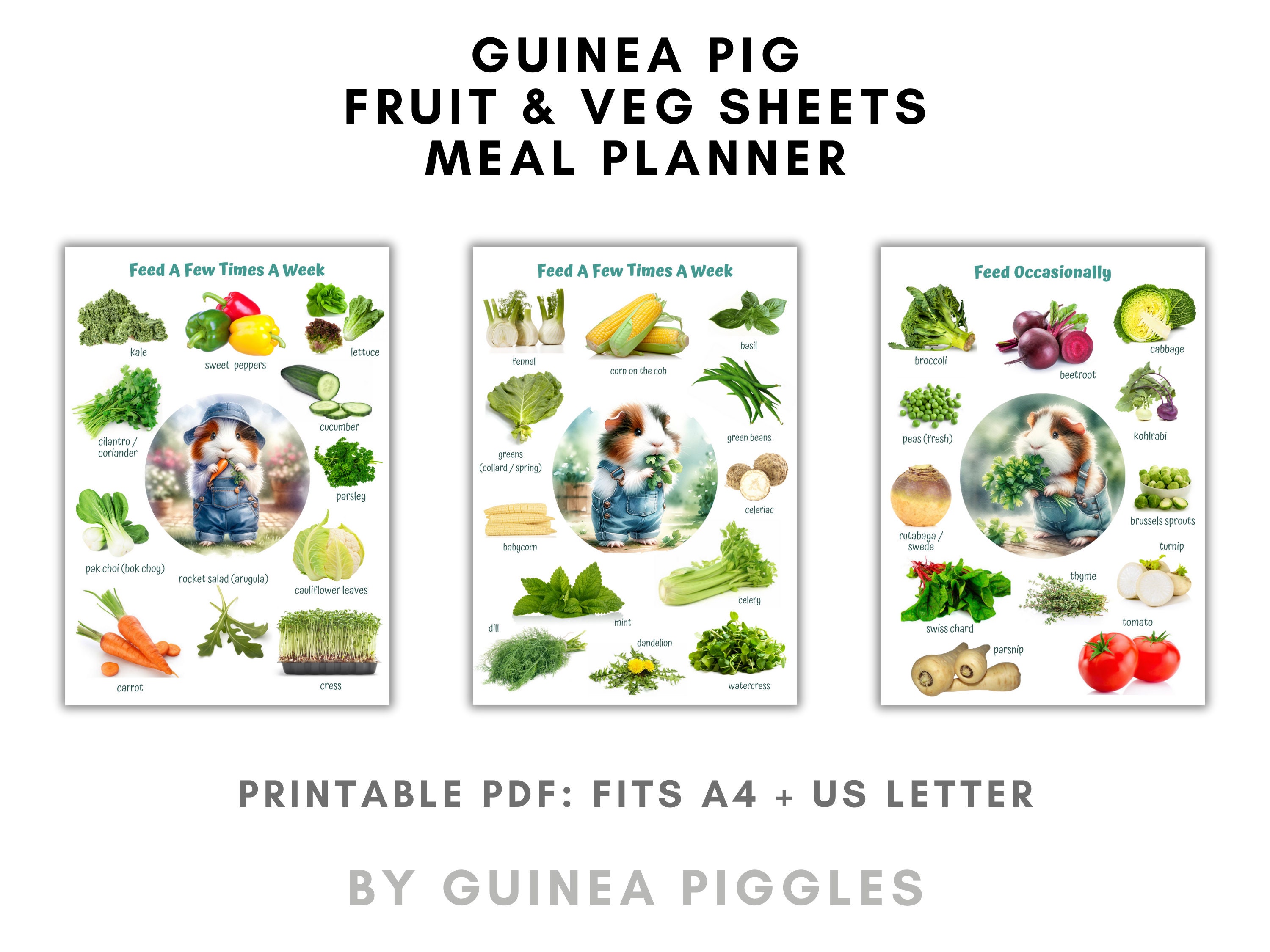 Guinea Pig Care Sheets & Food Charts Pack PDF Printables Downloads - Etsy