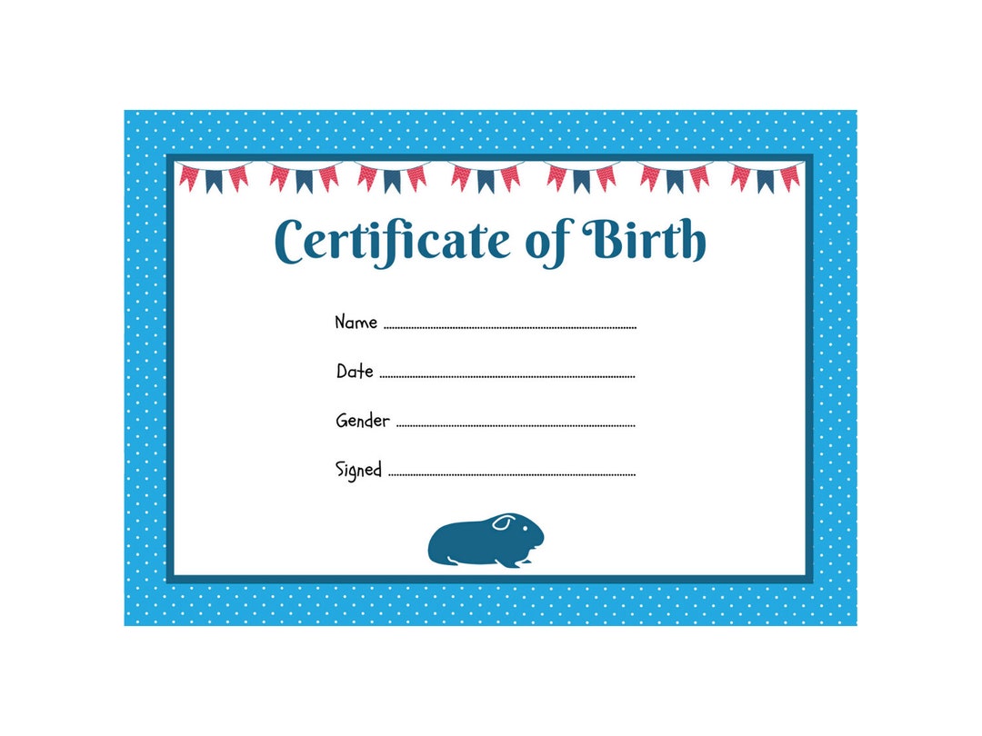 Guinea Pig Birth Certificate | Printable PDF | A4 Download | Instant ...