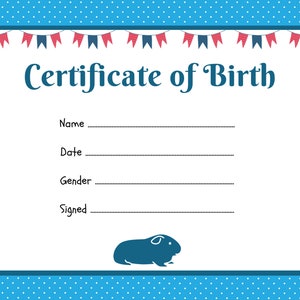 Guinea Pig Birth Certificate | Printable PDF | A4 Download | Instant ...