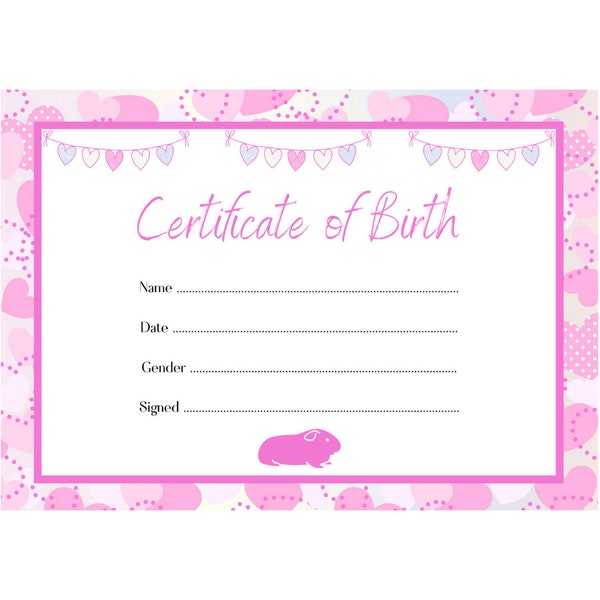 Guinea Pig Certificate - Etsy