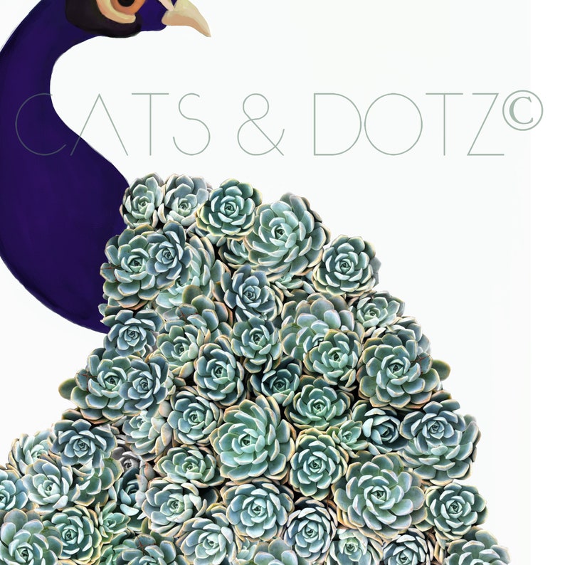 Downloadable Digital Print Peacock Print Kids Art Digital - Etsy