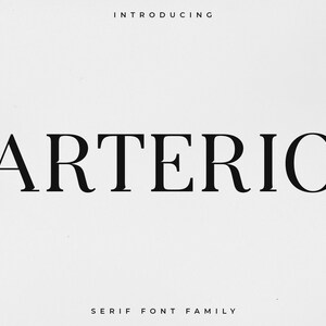 Arterio Font Family - Serif - Etsy
