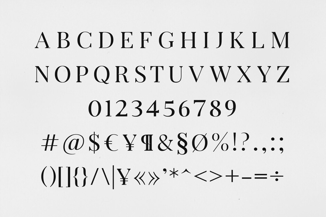 Arterio Font Family Serif - Etsy