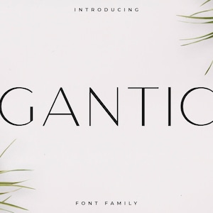 Gantic Font Family - Sans Serif - Etsy