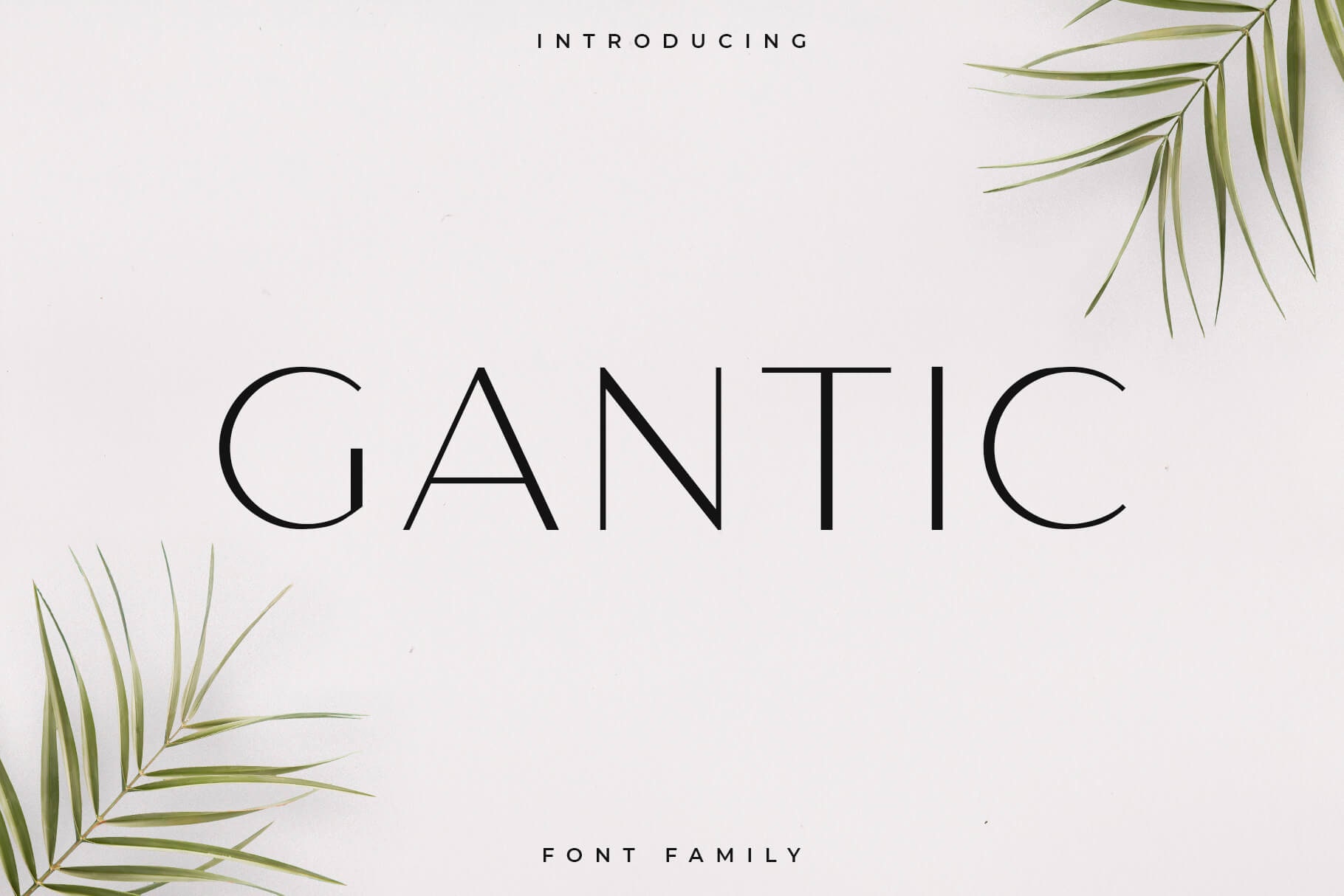 Gantic Font Family - Sans Serif - Etsy