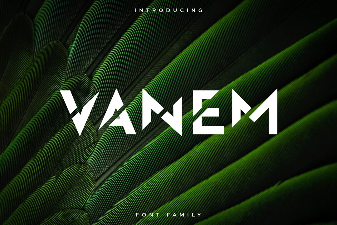 Vanem Font Family – Display Font - Etsy