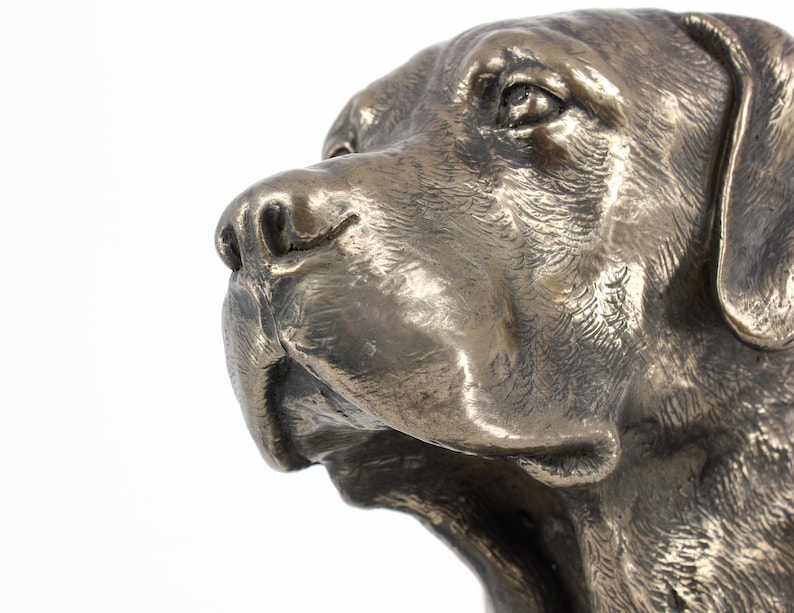 Labrador Retriever Statue Cold Cast Bronze Sculpture Marble - Etsy