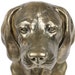Weimaraner Statue, Cold Cast Bronze Sculpture, Marble Base, Home and ...
