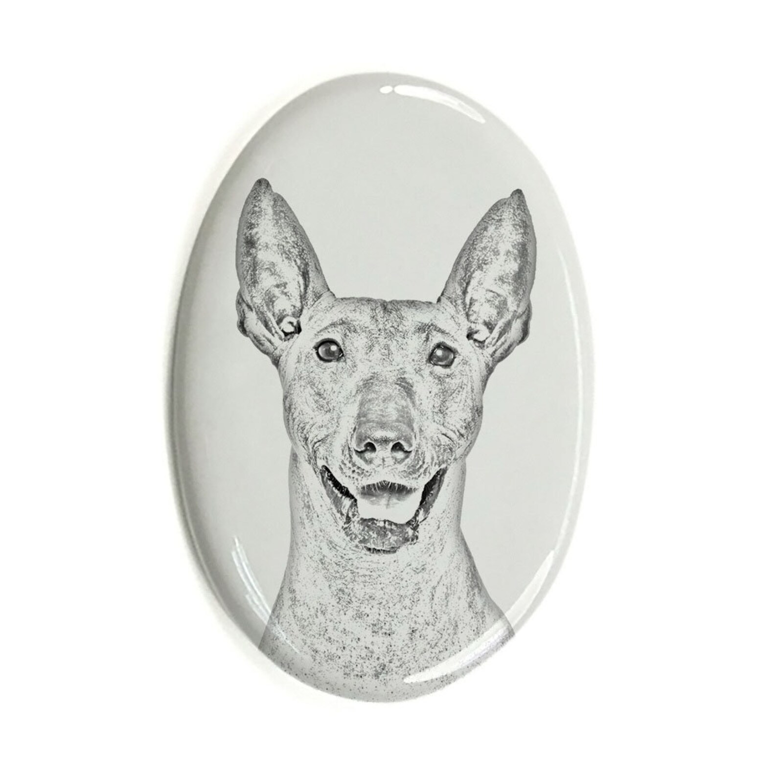 Xoloitzcuintli Tombstone Plaque With a Photo of a Dog Ceramic - Etsy