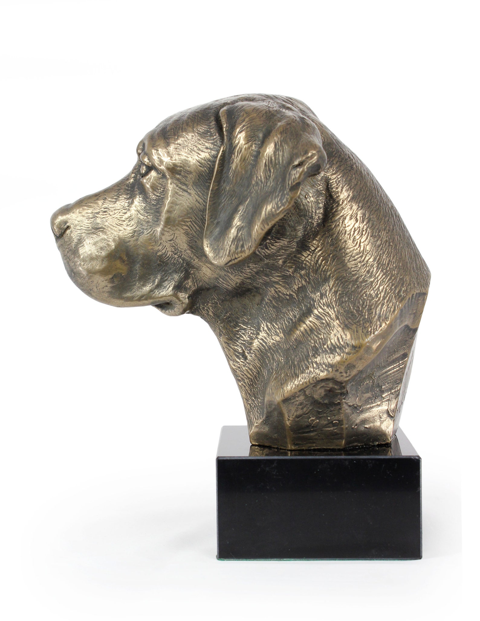 Labrador Retriever Statue Cold Cast Bronze Sculpture Marble - Etsy