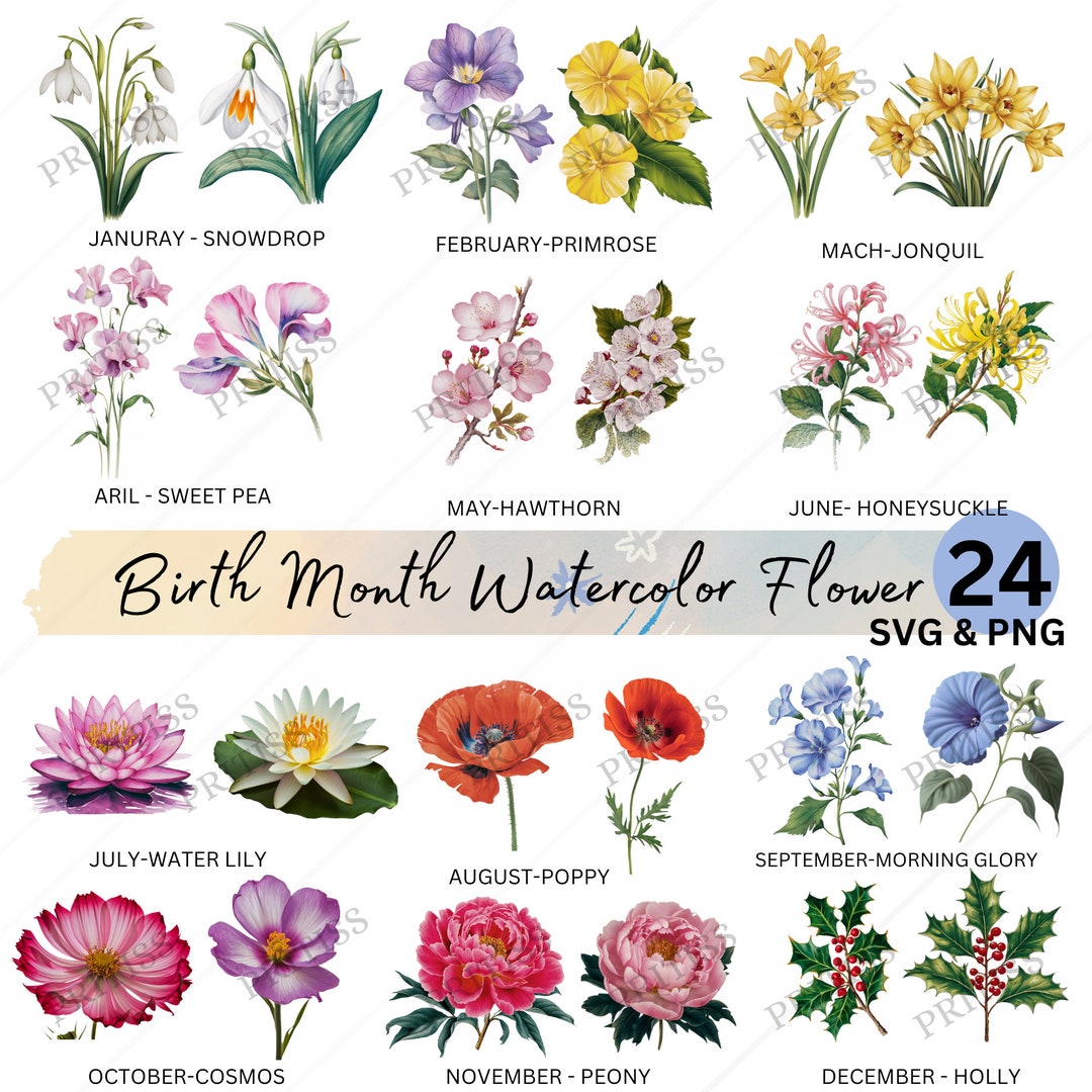 Birth Month Watercolor Flower SVG Birth Month Flower Clipart Birth ...