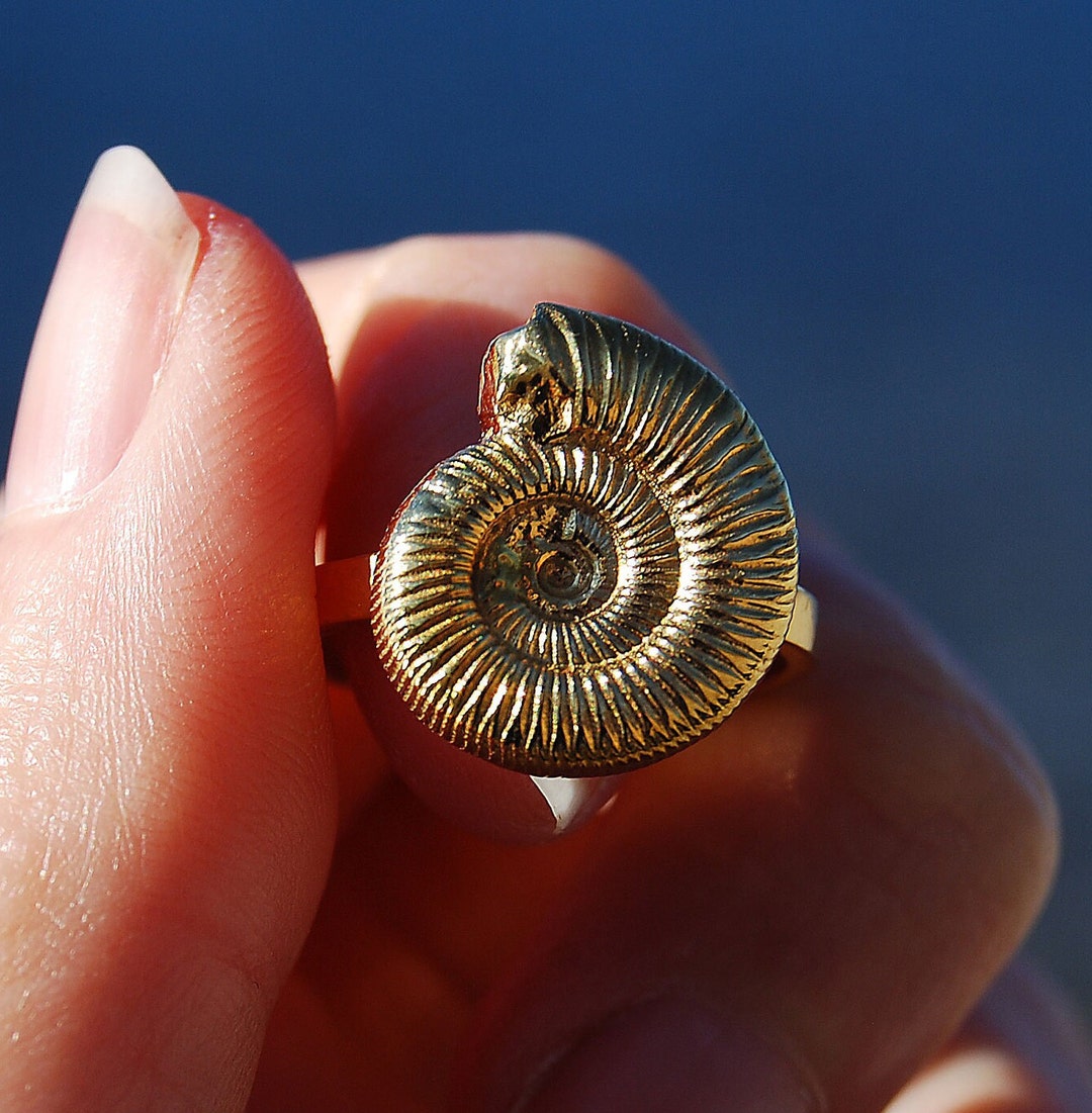 Ammonite Fossil Ring, Sterling Silver/gold Shell Ring, Stacking Ring, Summer Ring, Holiday Ring ...