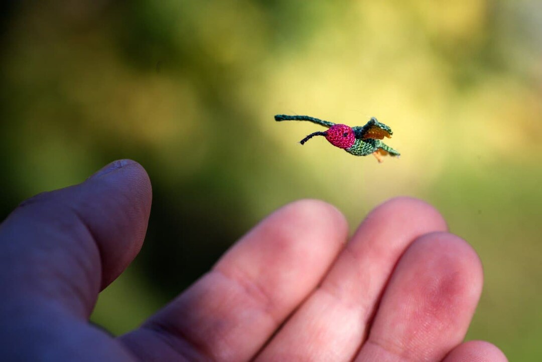 Realistic Hummingbird Micro Miniatures Bird Figurines: Animal Lover ...