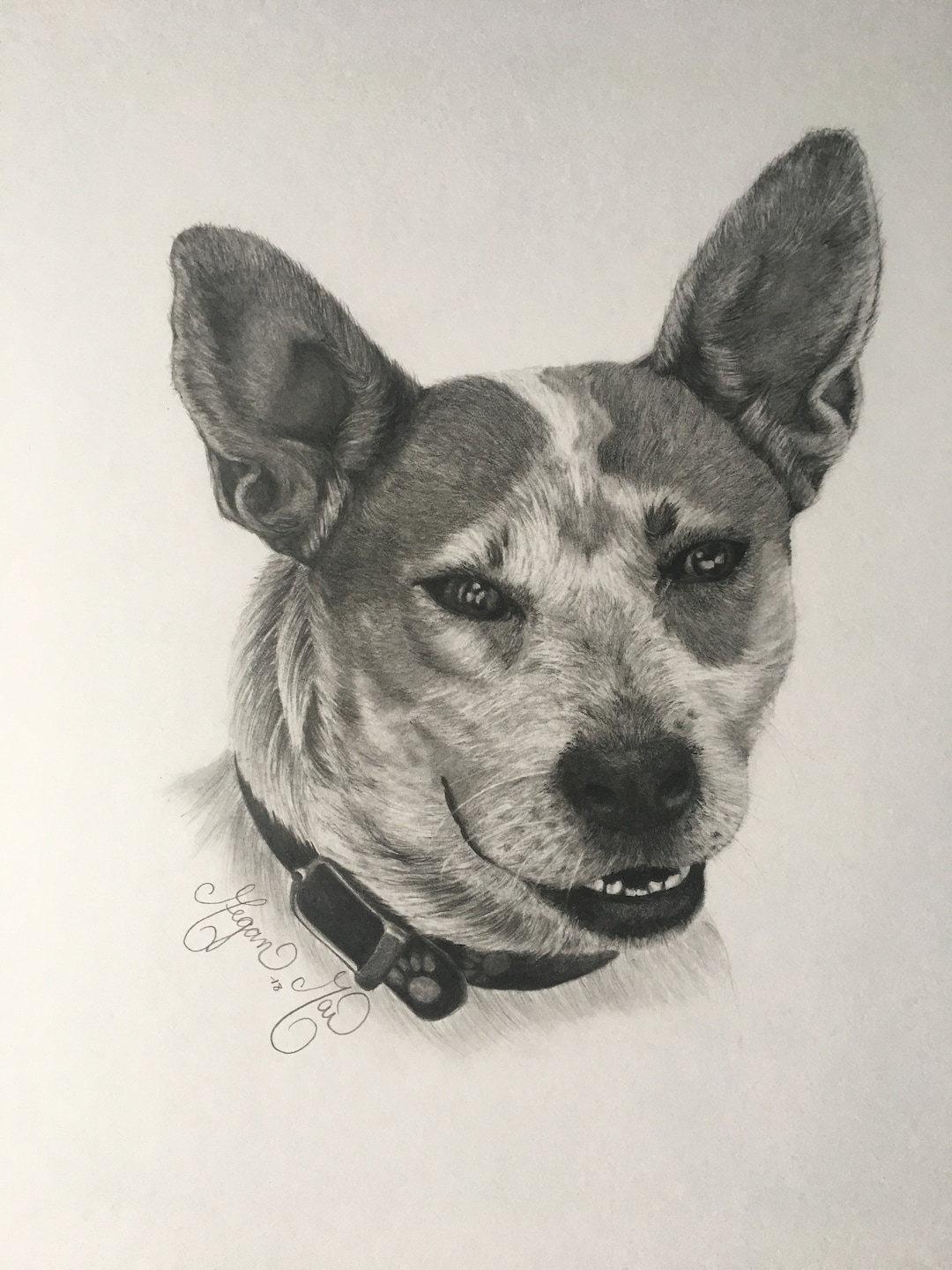 11x14 In. Custom Graphite Pet Portrait - Commission, Pencil Pet Drawing ...
