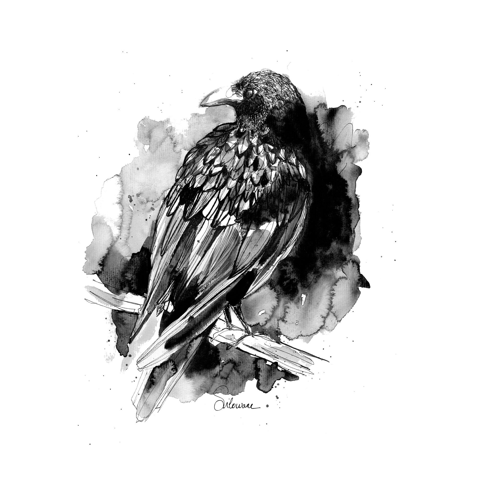 Poster A4 CROW India Ink Illustration - Etsy