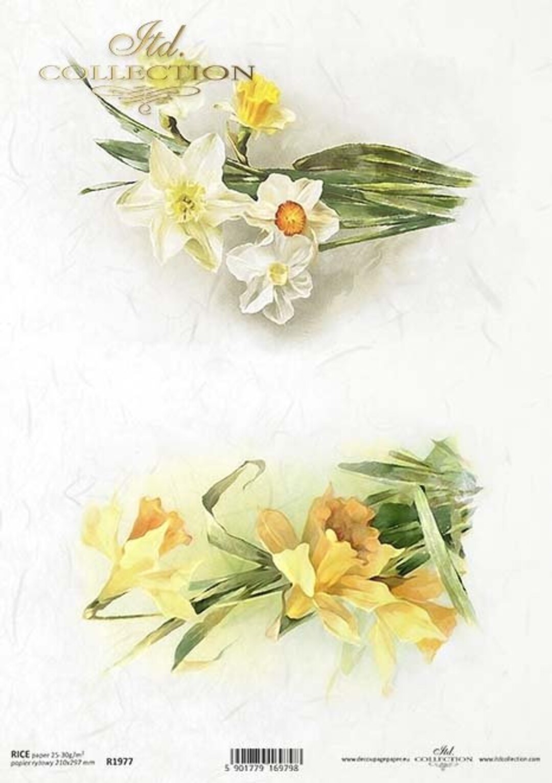 ITD Collection Daffodils Rice Paper Decoupage A4 for Decoupage, Art ...