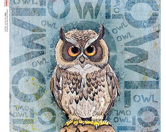 Paper Designs Washipaper Owl Rice Paper Decoupage A4 for DIY Projects ...
