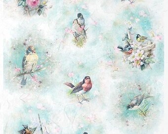 Decoupage Rice Paper Birds - Etsy