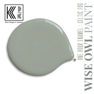 New ! the Wilderness Collection I Wise Owl Paint I One Hour Enamel - Etsy