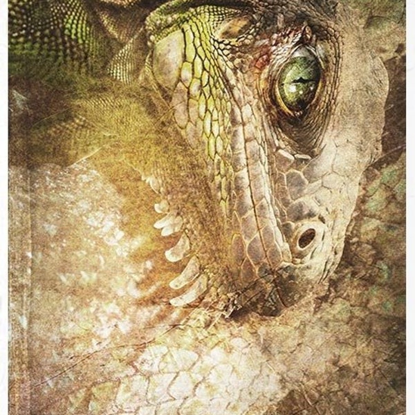 Dragon Rice Paper - Etsy