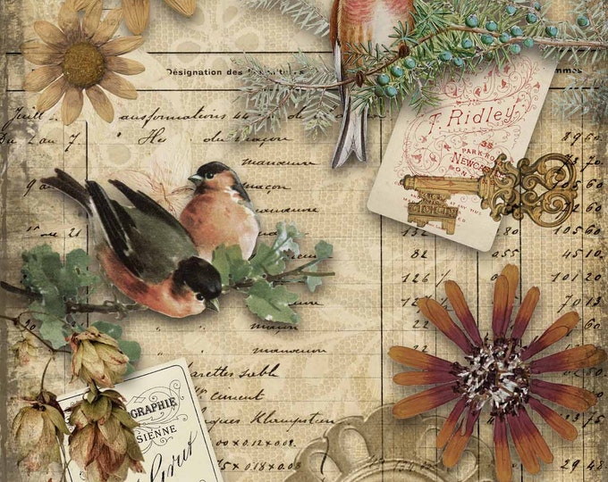 Autumn Birds Rice Paper Decoupage by Decoupage Queen Size A3 - Etsy
