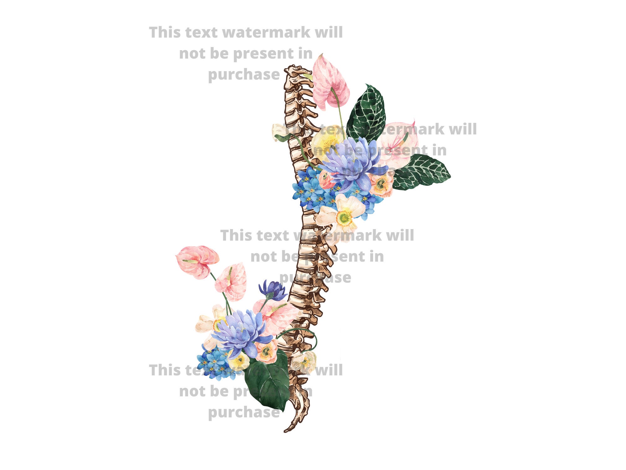 Spine Flower Art - Anatomy Wall Art - Chiropractor Gift - Anatomy ...