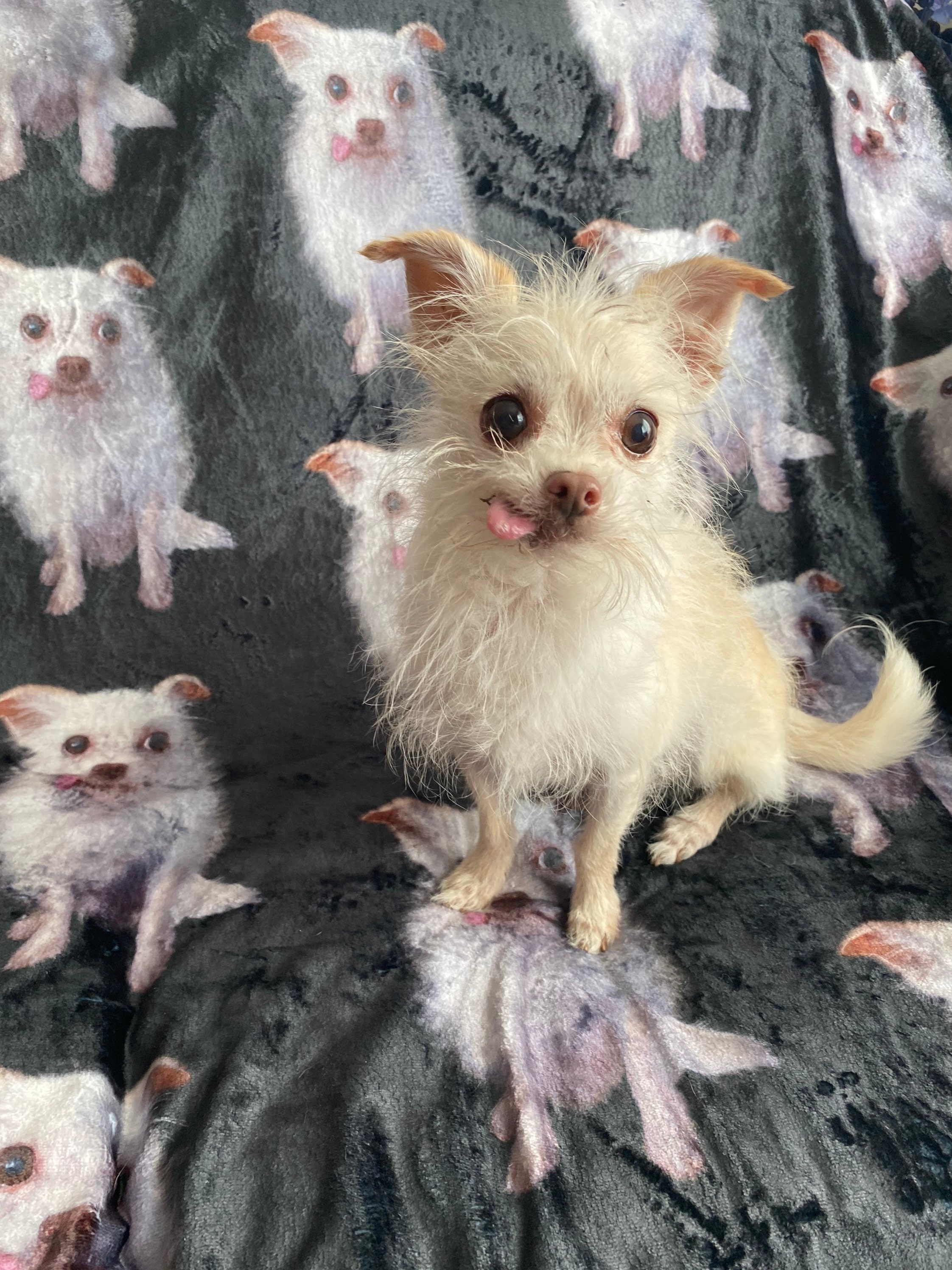 Odie the Goblin Throw Blanket - Etsy