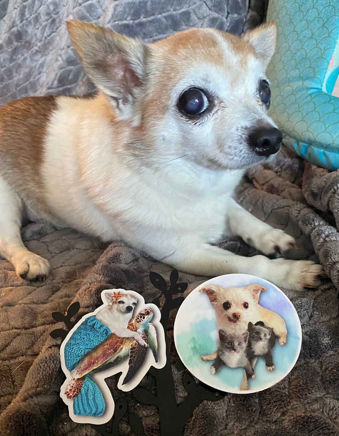 Meerjungfrau Lil Hobbs + Cat Dad Odie Magnet & Sticker - 2er Pack ...