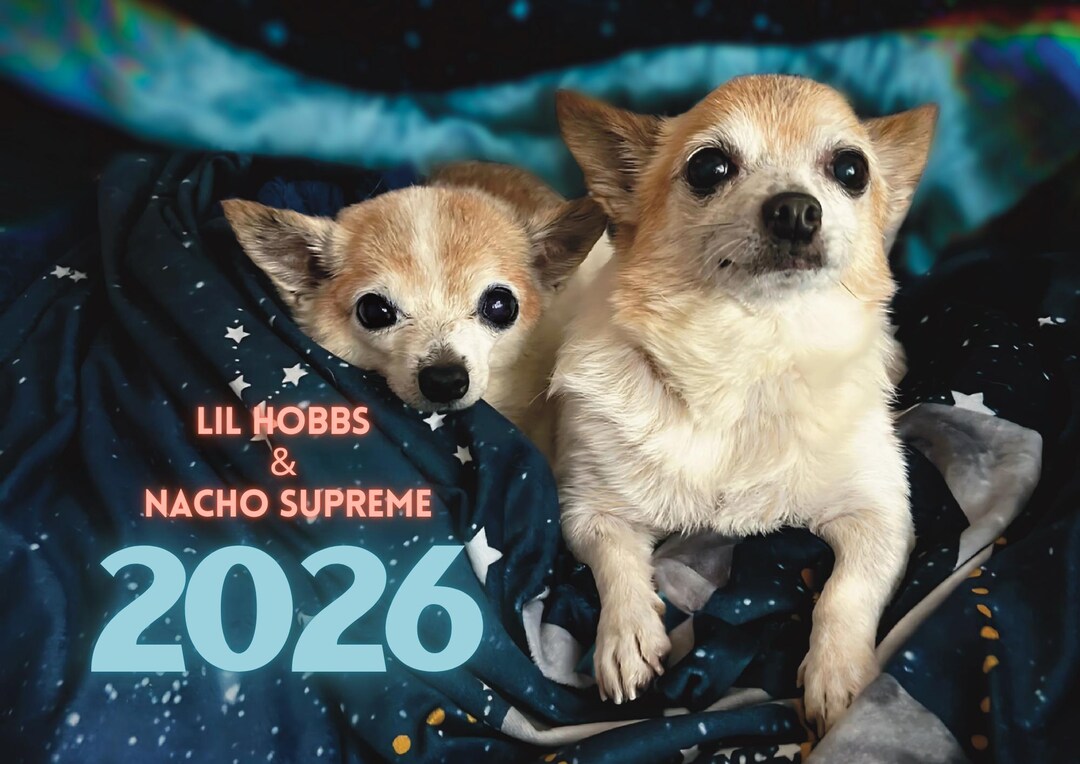 2026 Lil Hobbs and Nacho Supreme Wall Calendar - 8.5 X 11" (A4), Senior ...