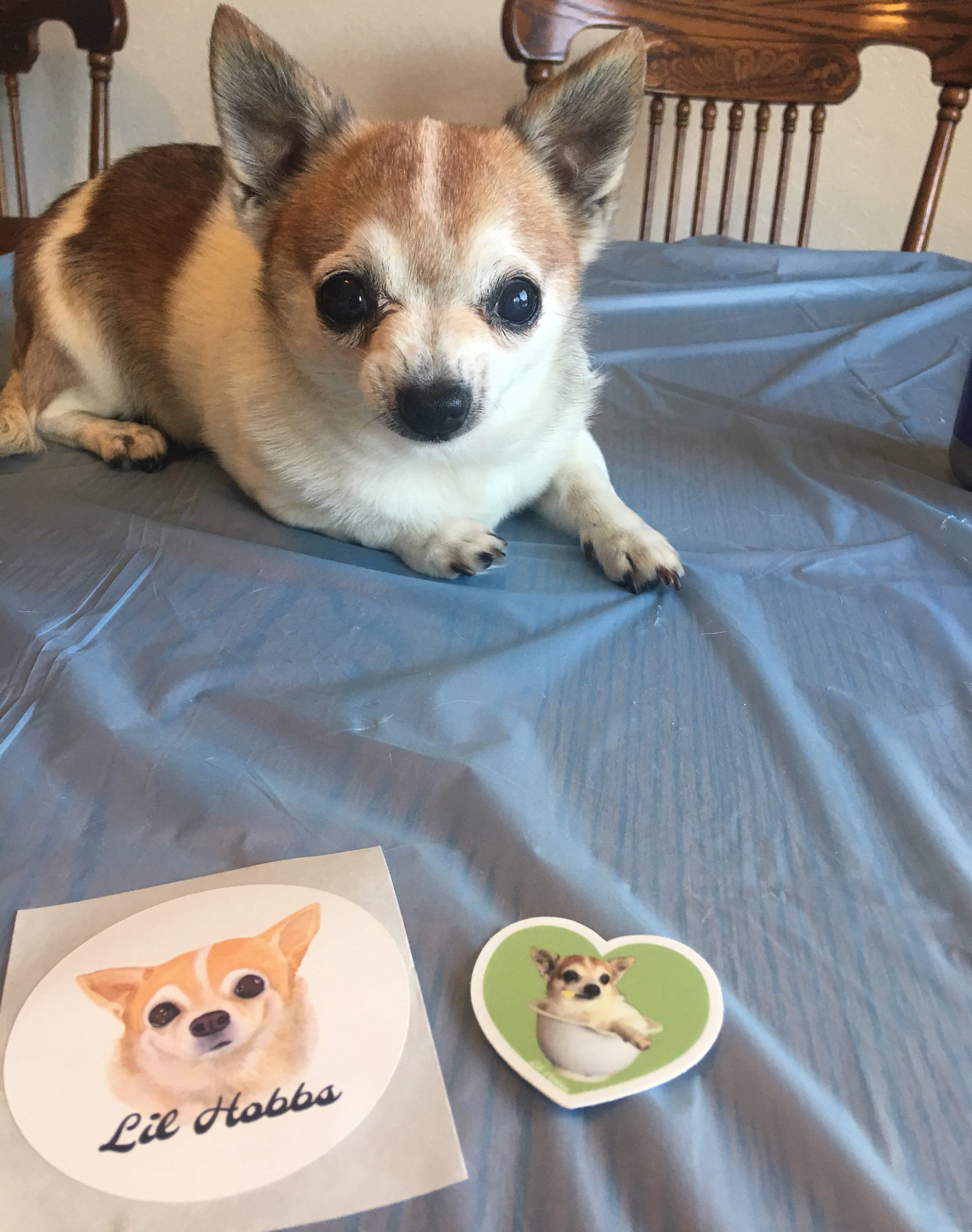 Sticker Pack: Die Cut Lil Hobbs in a Bowl Heart & Watercolor | Etsy