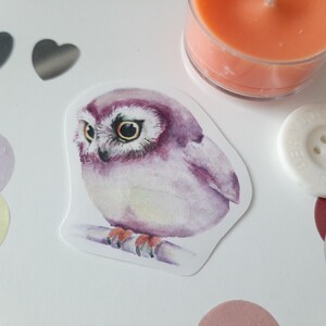Cute Baby Owl Sticker, Aquarell Art Decal, Animal Watercolour Stickers ...