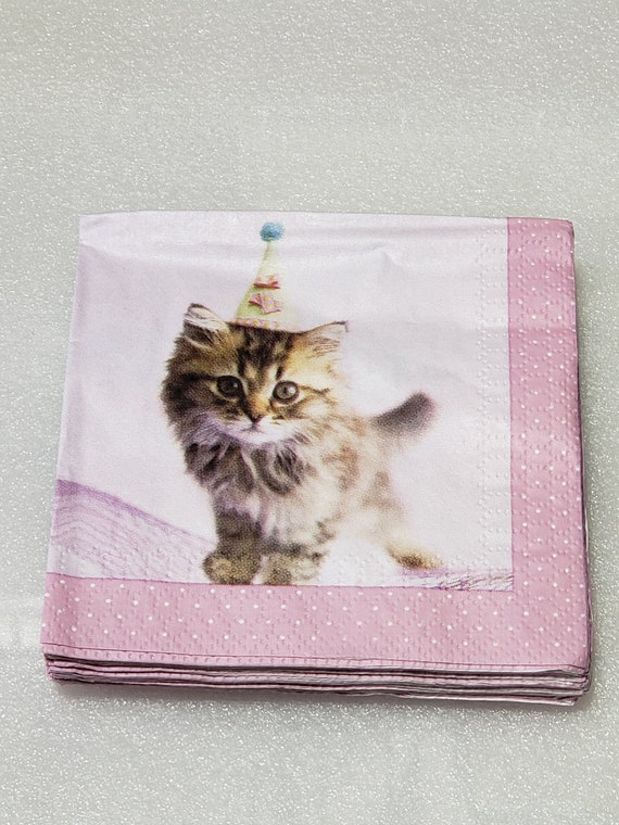 Pet Party Cat Beverage Napkins 16ct - Etsy