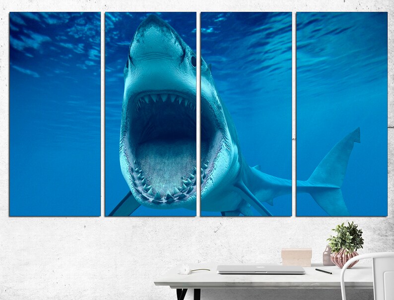 Shark Poster Sea Animal Wall Art Shark Room Decor Shark Prints Sea Life ...