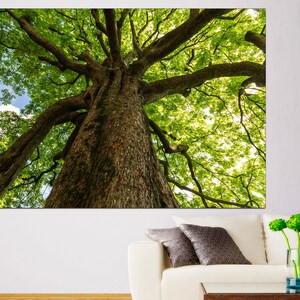 Tree Branch Wall Art Tree Poster Tree Branch Abstract Tree Print Large ...