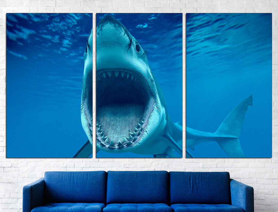 Shark Poster Sea Animal Wall Art Shark Room Decor Shark Prints Sea Life ...
