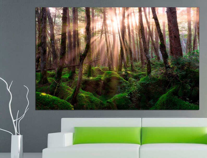 Magical Forest Morning Print Forest Poster Trees Canvas Print - Etsy