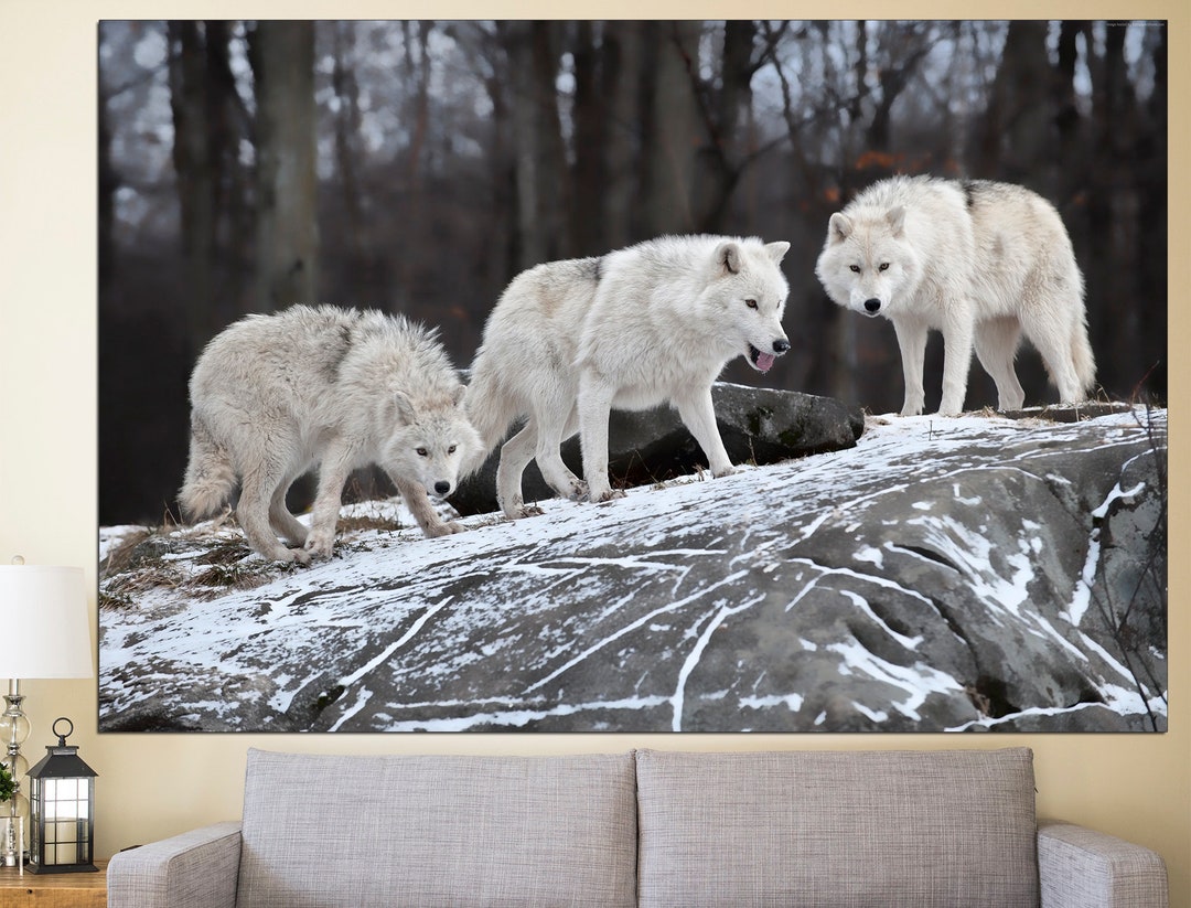 Wolf Print Gray Wolf Wolf Wall Art White Wolf Home Decor Wolf Poster - Etsy