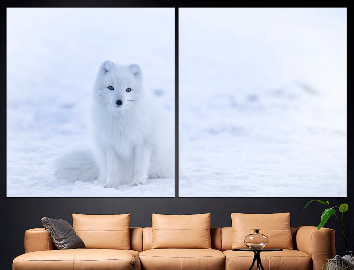 Arctic Fox Print Wildlife Canvas White Fox Arctic Fox Poster Canvas ...