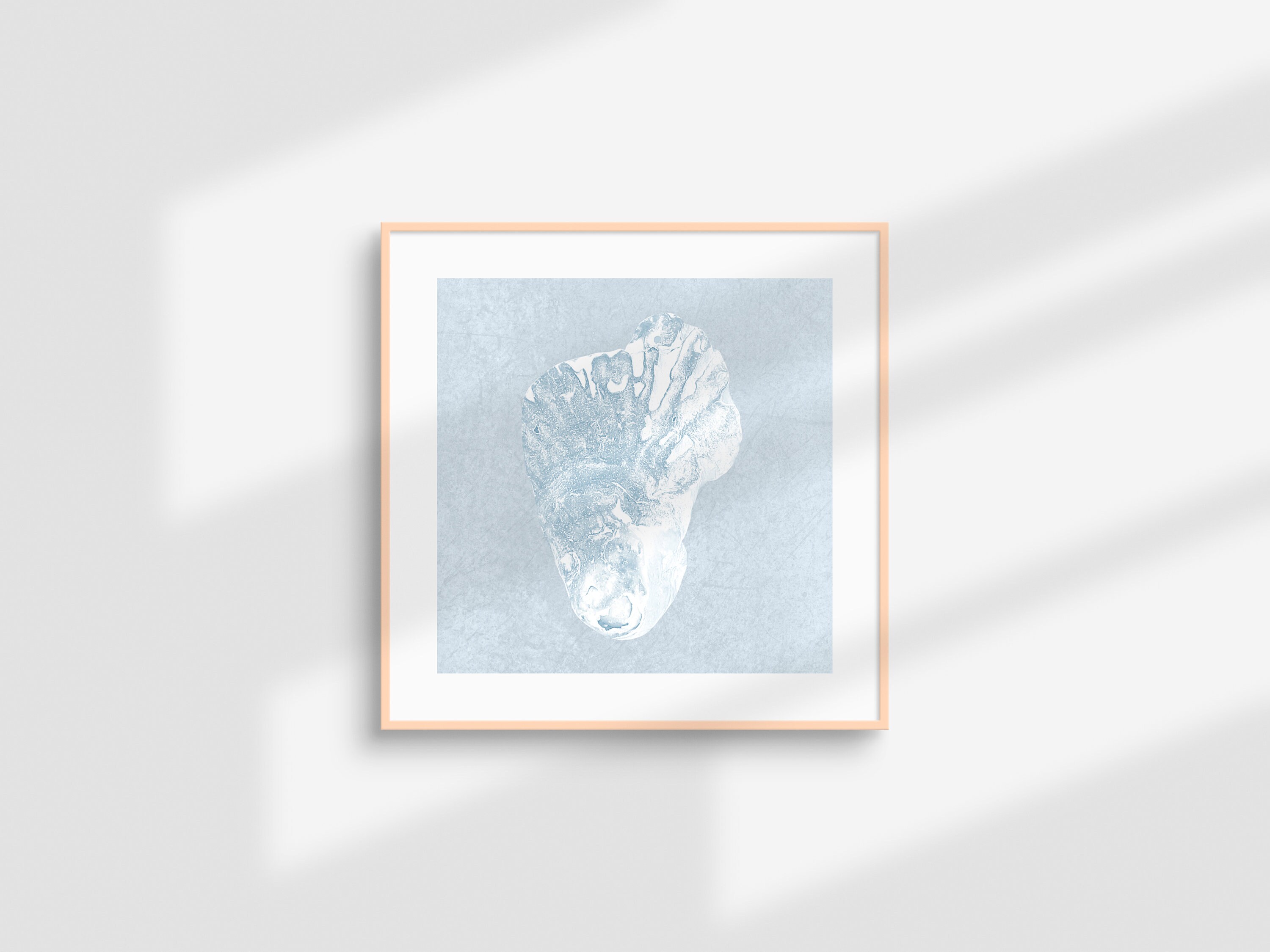 Seashell Prints SET of 4, Nautical Square Prints, Light Blue Coastal ...